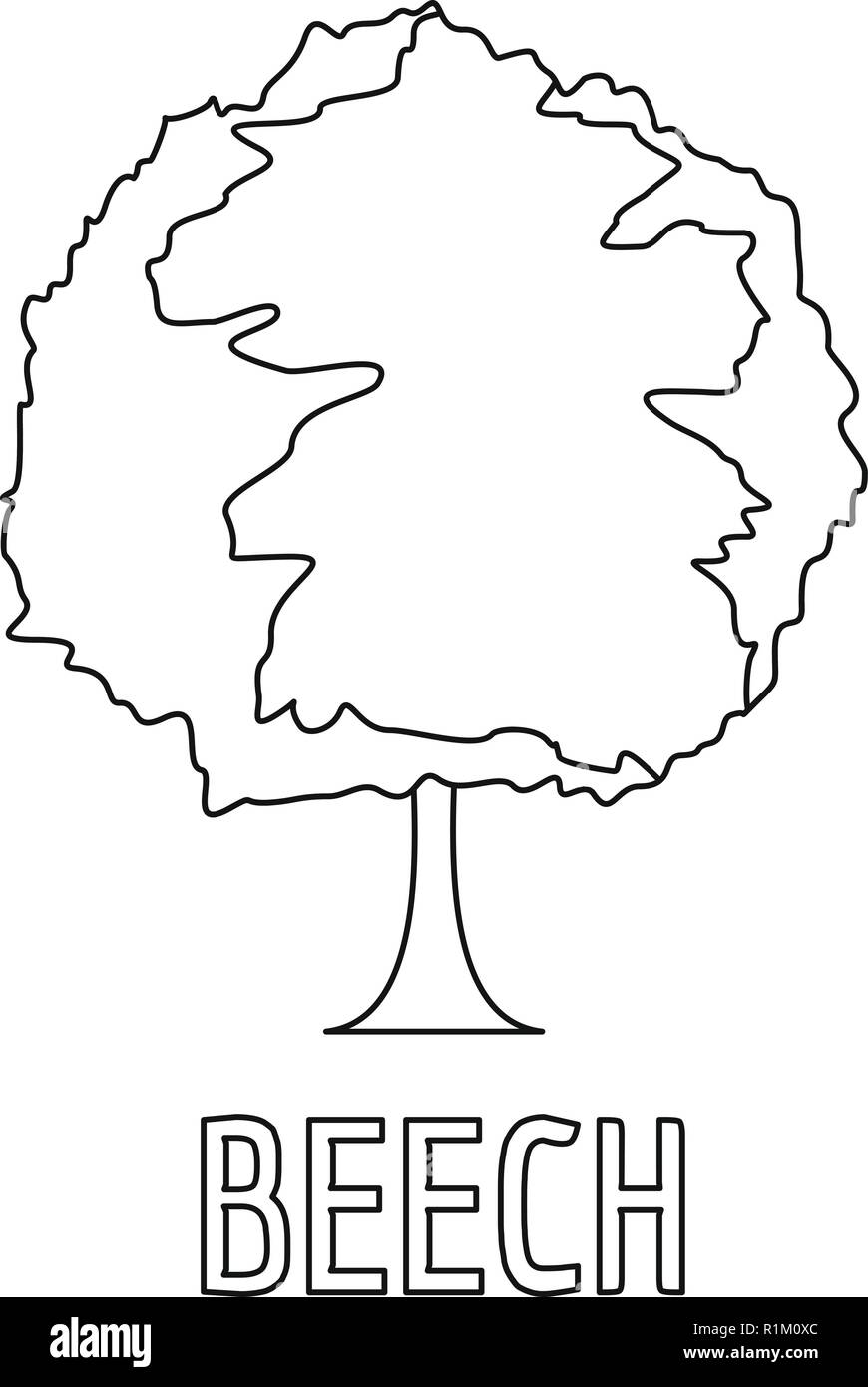 Beech icon. Outline illustration of beech vector icon for web Stock ...