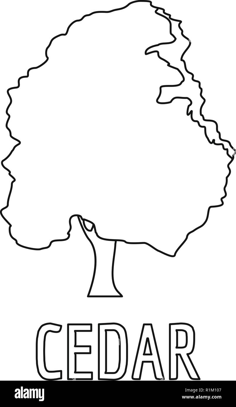 Cedar icon. Outline illustration of cedar vector icon for web Stock ...