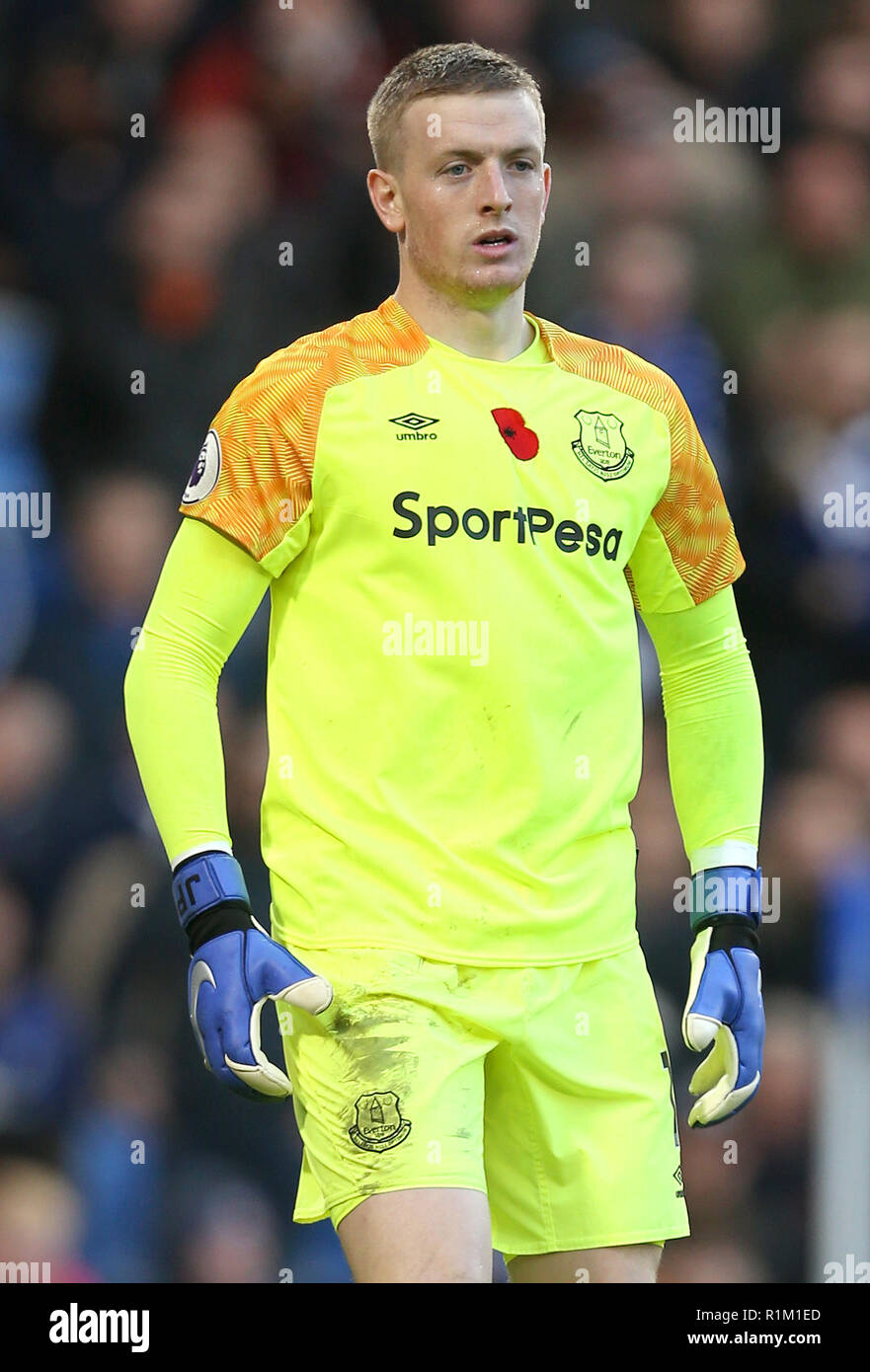 Jordan pickford hi-res stock photography and images - Alamy