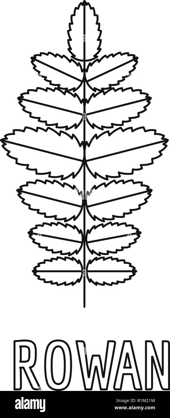 Rowan leaf icon. Outline illustration of rowan leaf vector icon for web ...