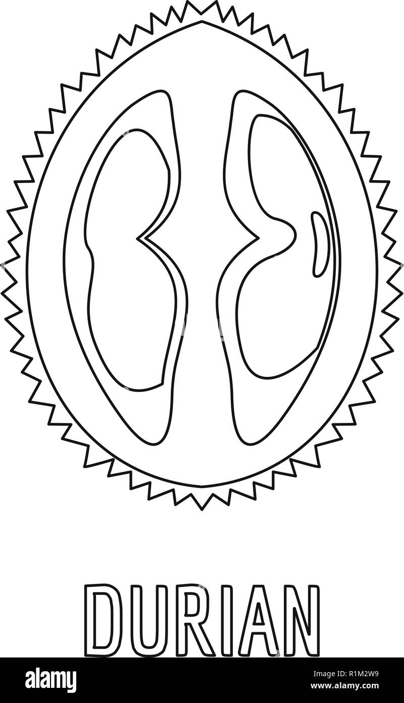 Durian icon. Outline illustration of durian vector icon for web Stock ...