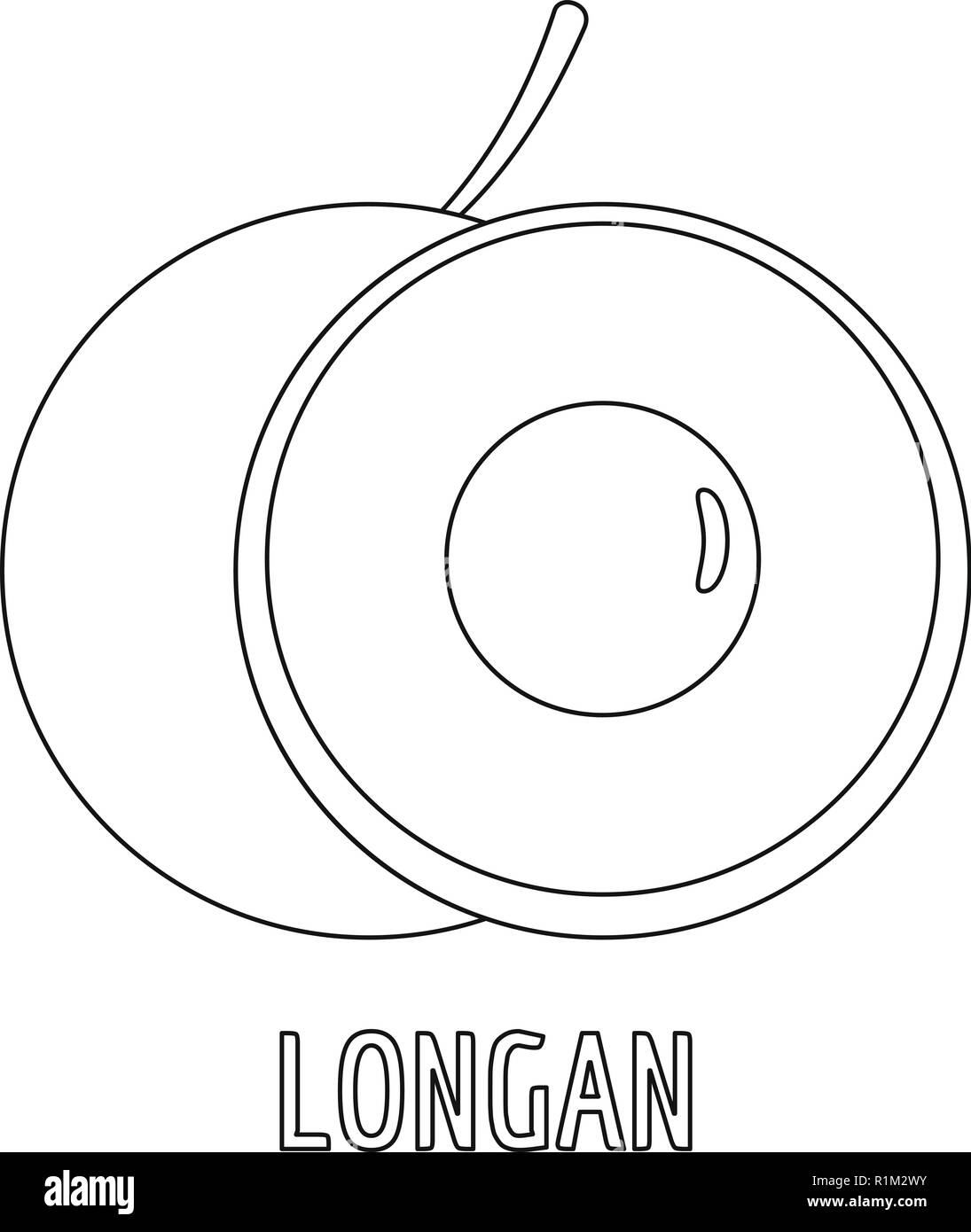 Longan icon. Outline illustration of longan vector icon for web Stock ...