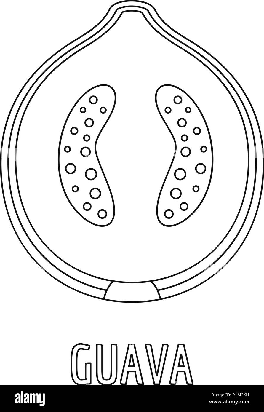 Guava icon. Outline illustration of guava vector icon for web Stock ...