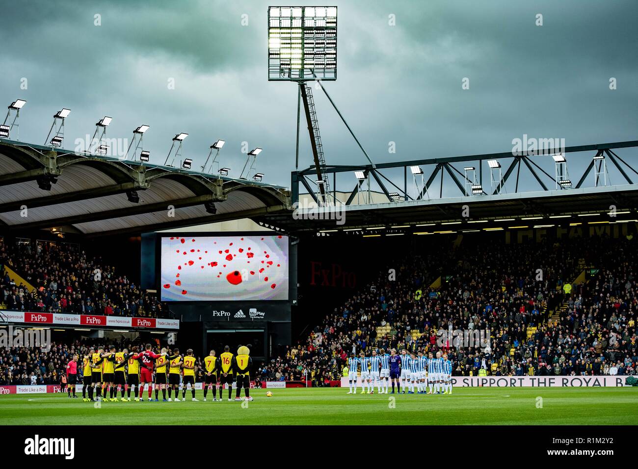 Watford fc hi-res stock photography and images - Alamy