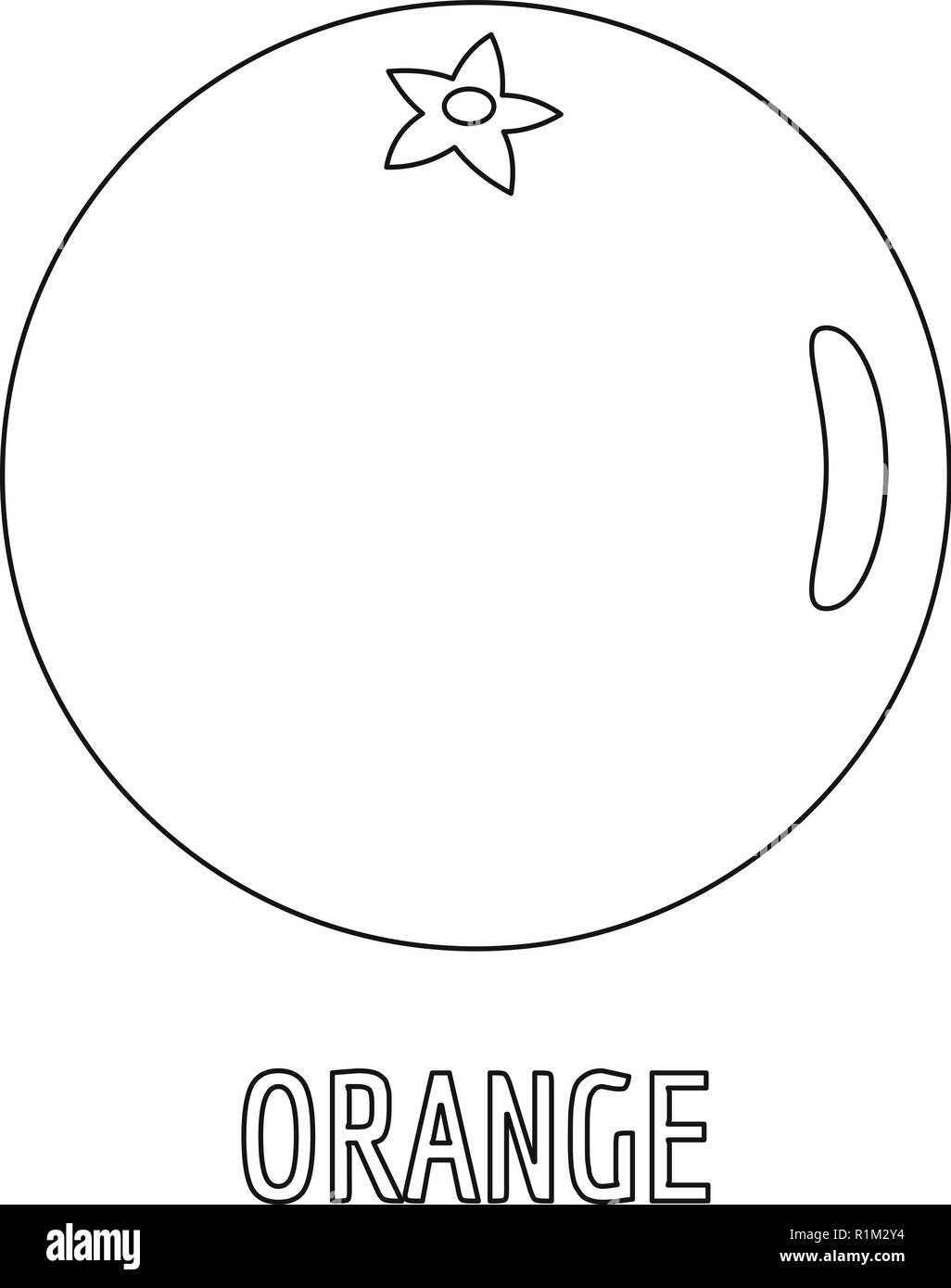 Orange icon. Outline illustration of orange vector icon for web Stock ...