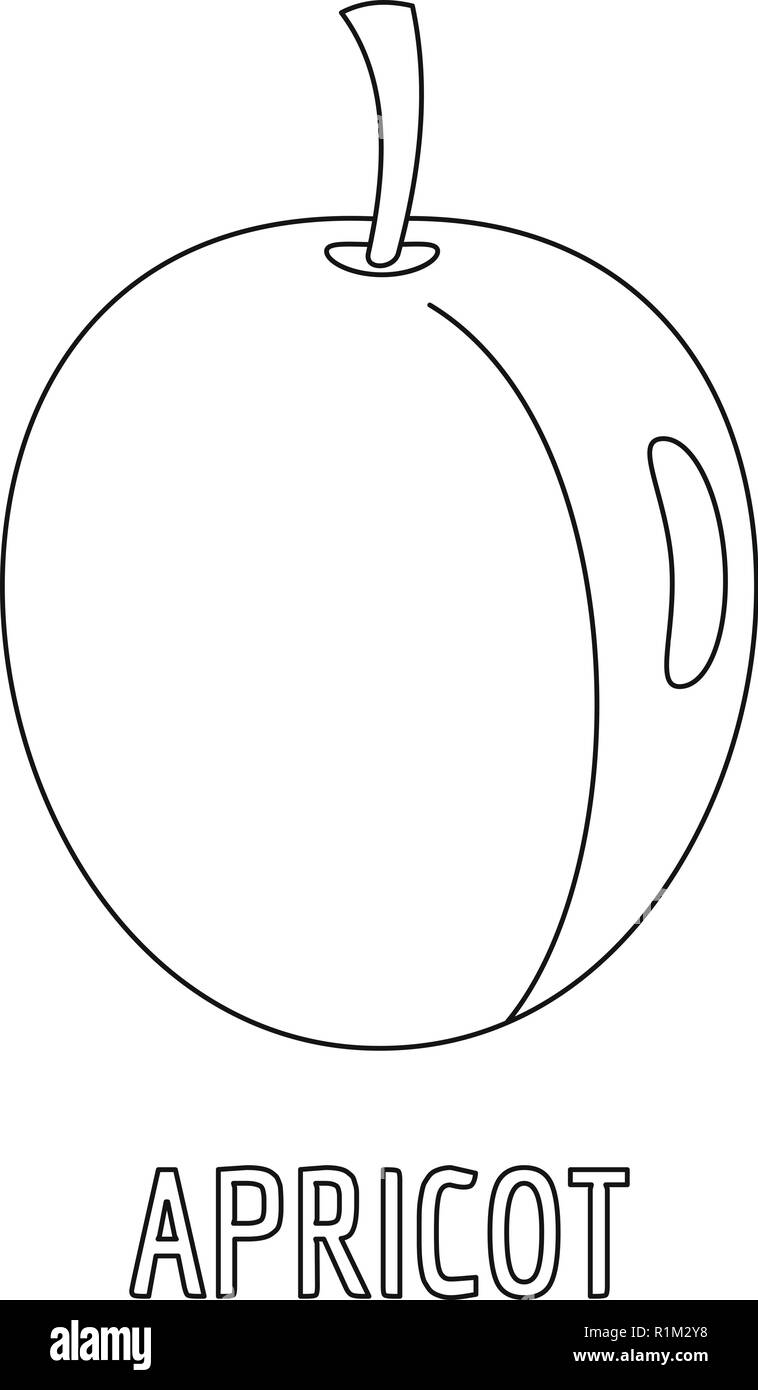 Apricot icon. Outline illustration of apricot vector icon for web Stock ...