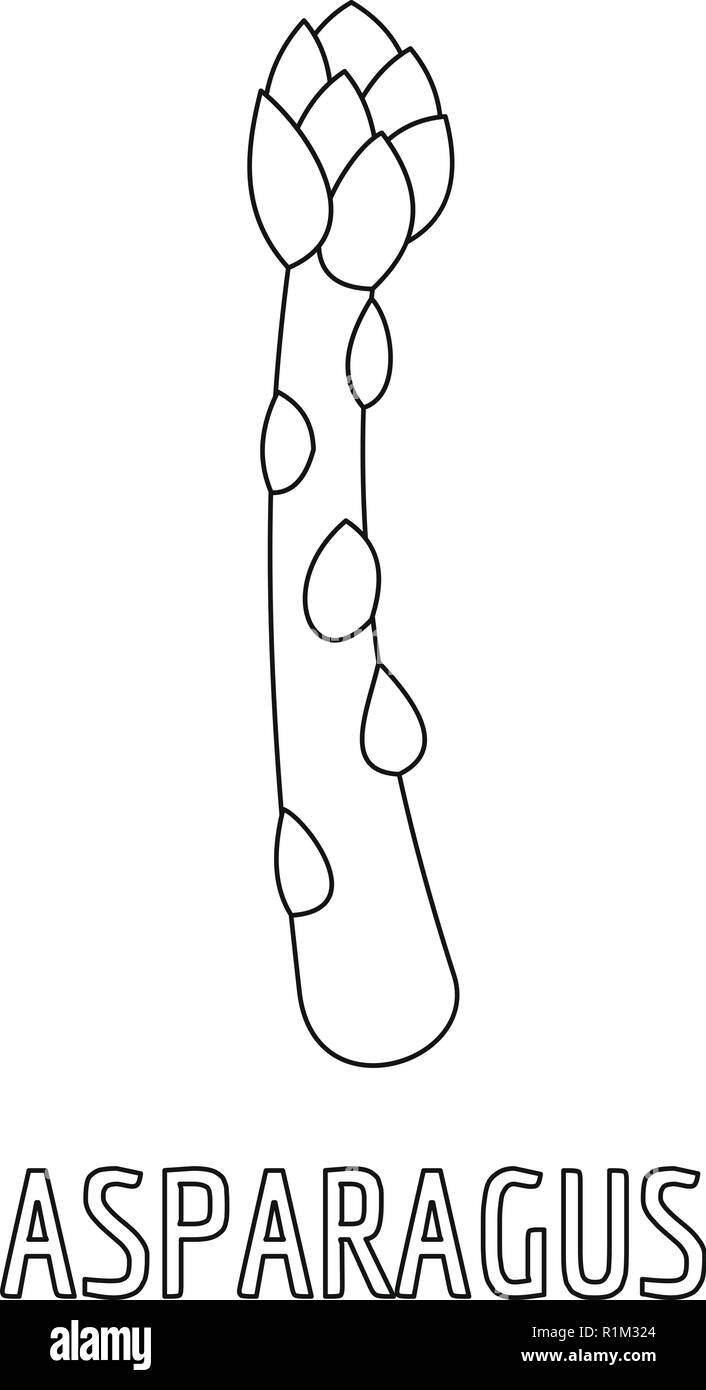 Asparagus icon. Outline illustration of asparagus vector icon for web ...