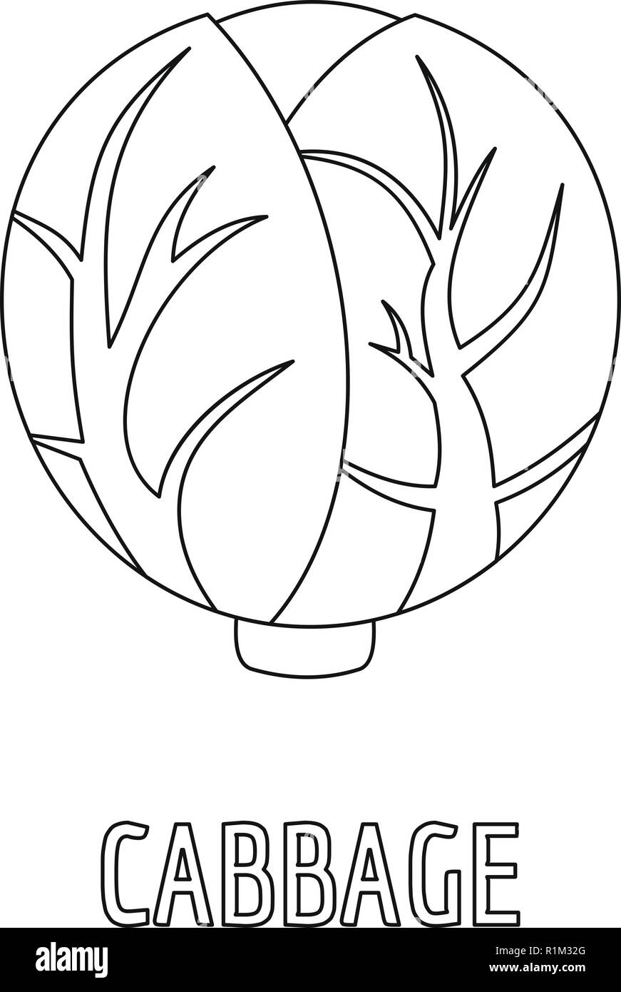 Cabbage icon. Outline illustration of cabbage vector icon for web Stock ...