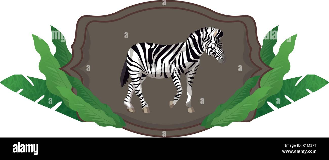 Zebra wild animal on label frame with leaves vector illustration ...