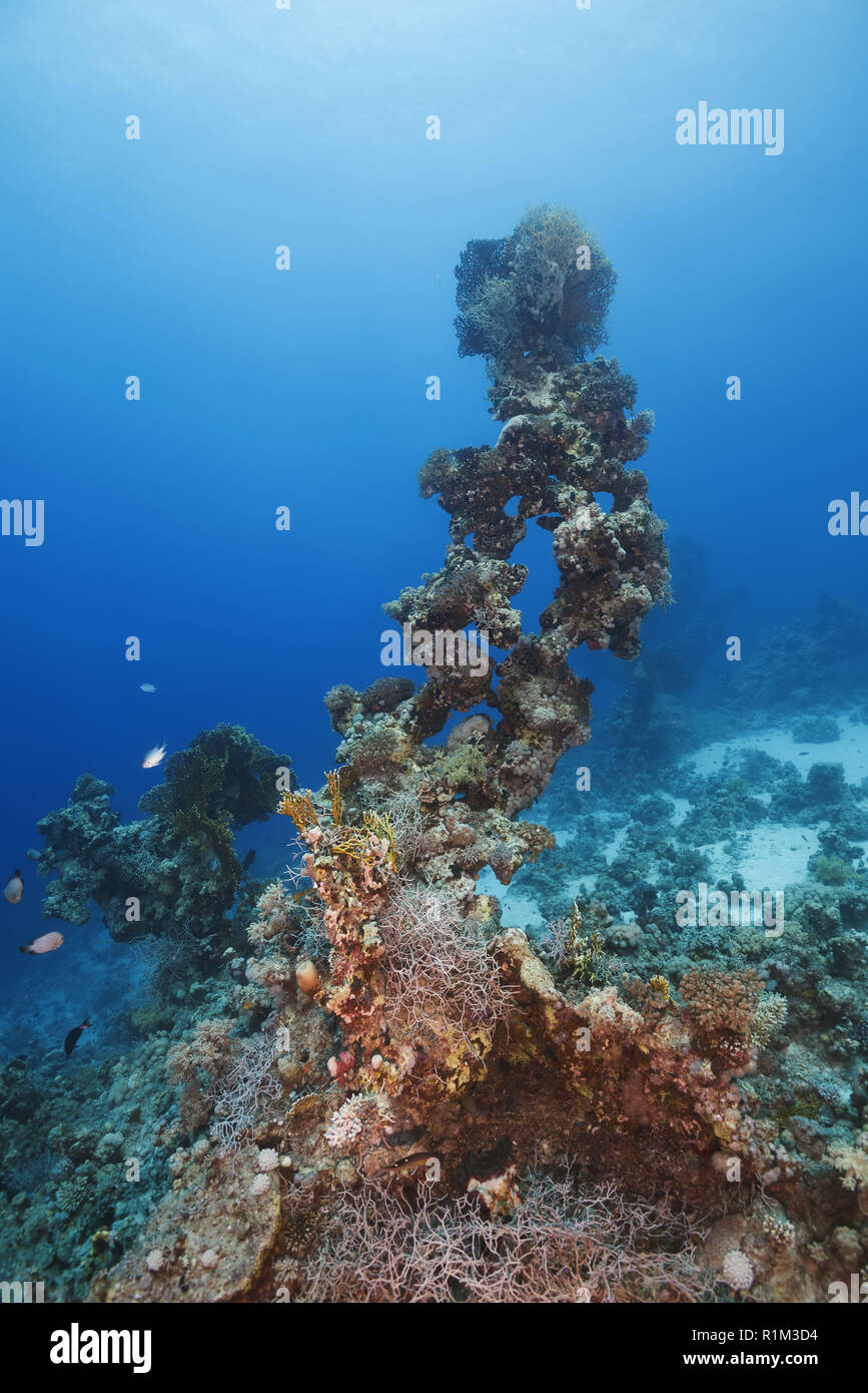 Underwater pillar hi-res stock photography and images - Alamy