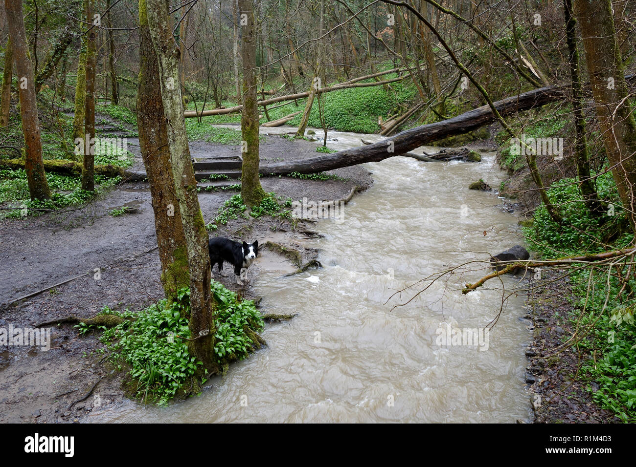 Coalbrookdale watercourse hi-res stock photography and images - Alamy