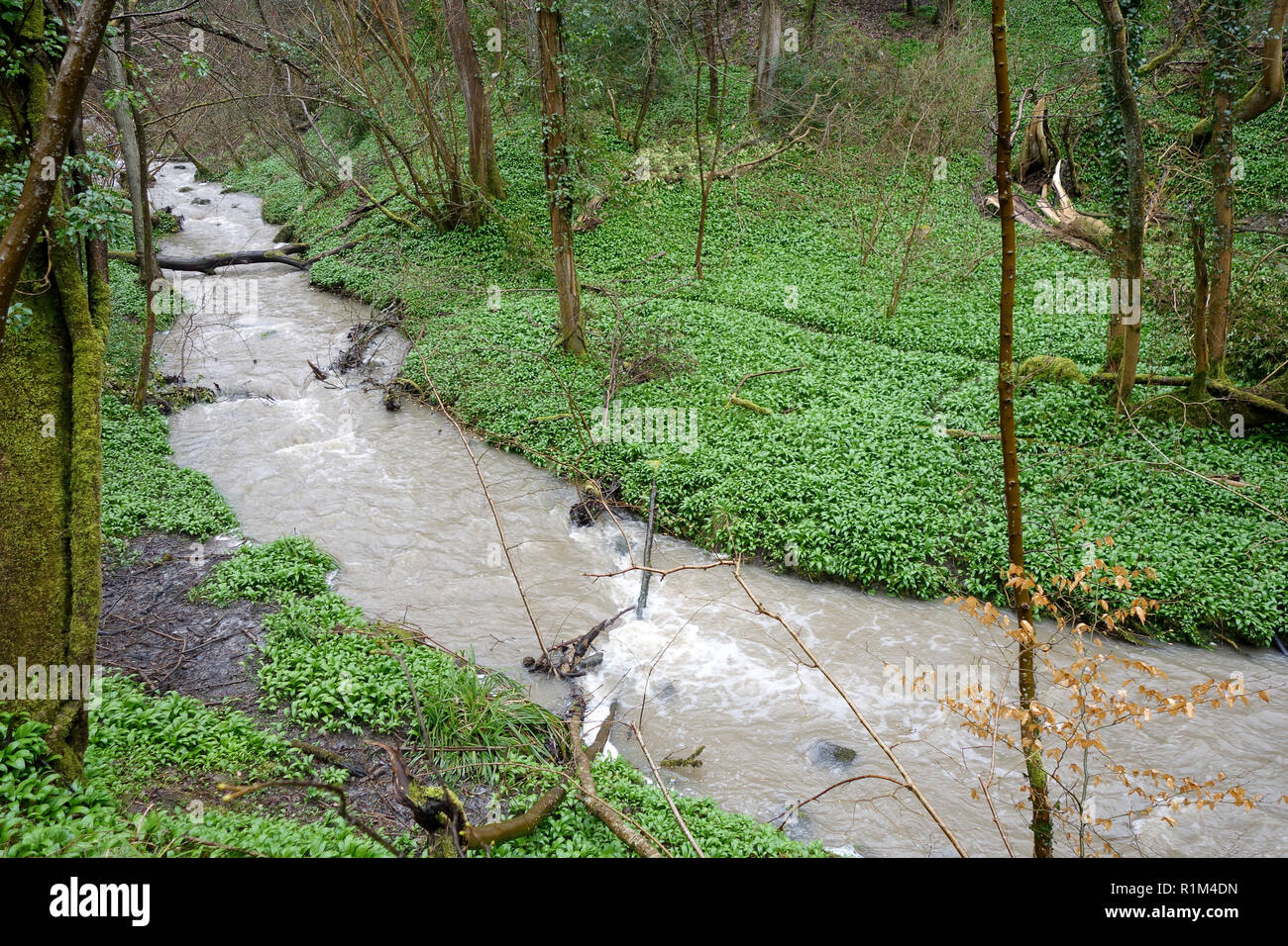 Coalbrookdale watercourse hi-res stock photography and images - Alamy