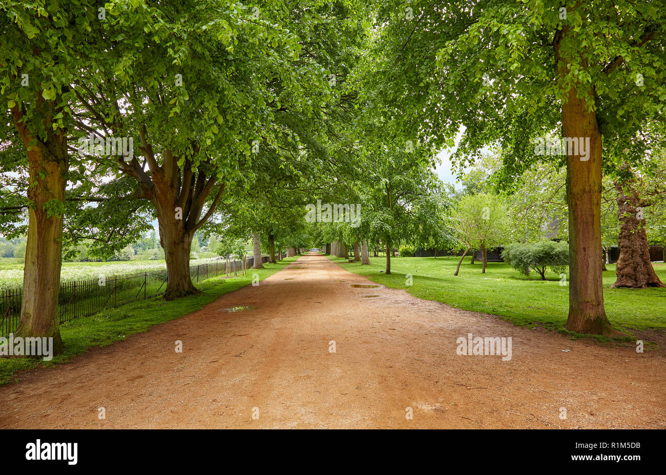 The Broad Walk is a promenade with a wide gravel path, lined with elm ...