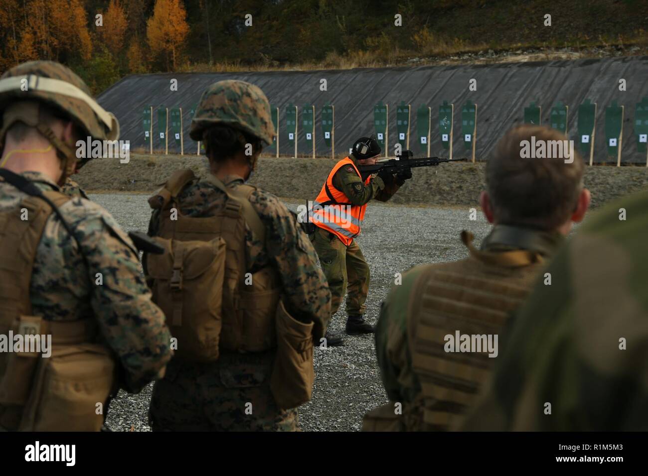 Norwegian Home Guard Lt. Per-Erik Daviknes, with Home Guard 12 ...