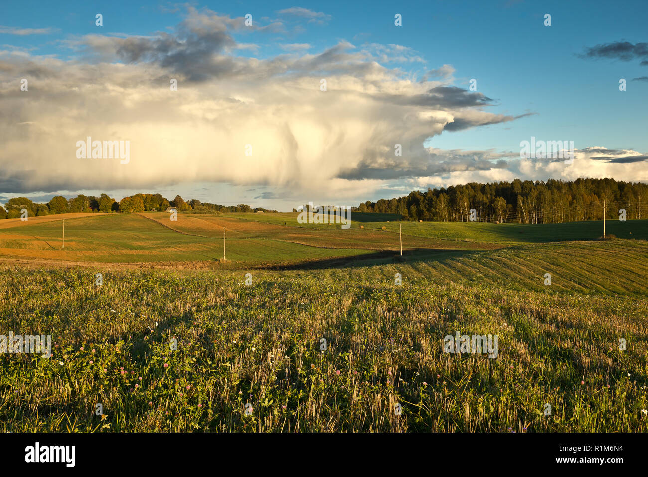 Latgale hi-res stock photography and images - Alamy