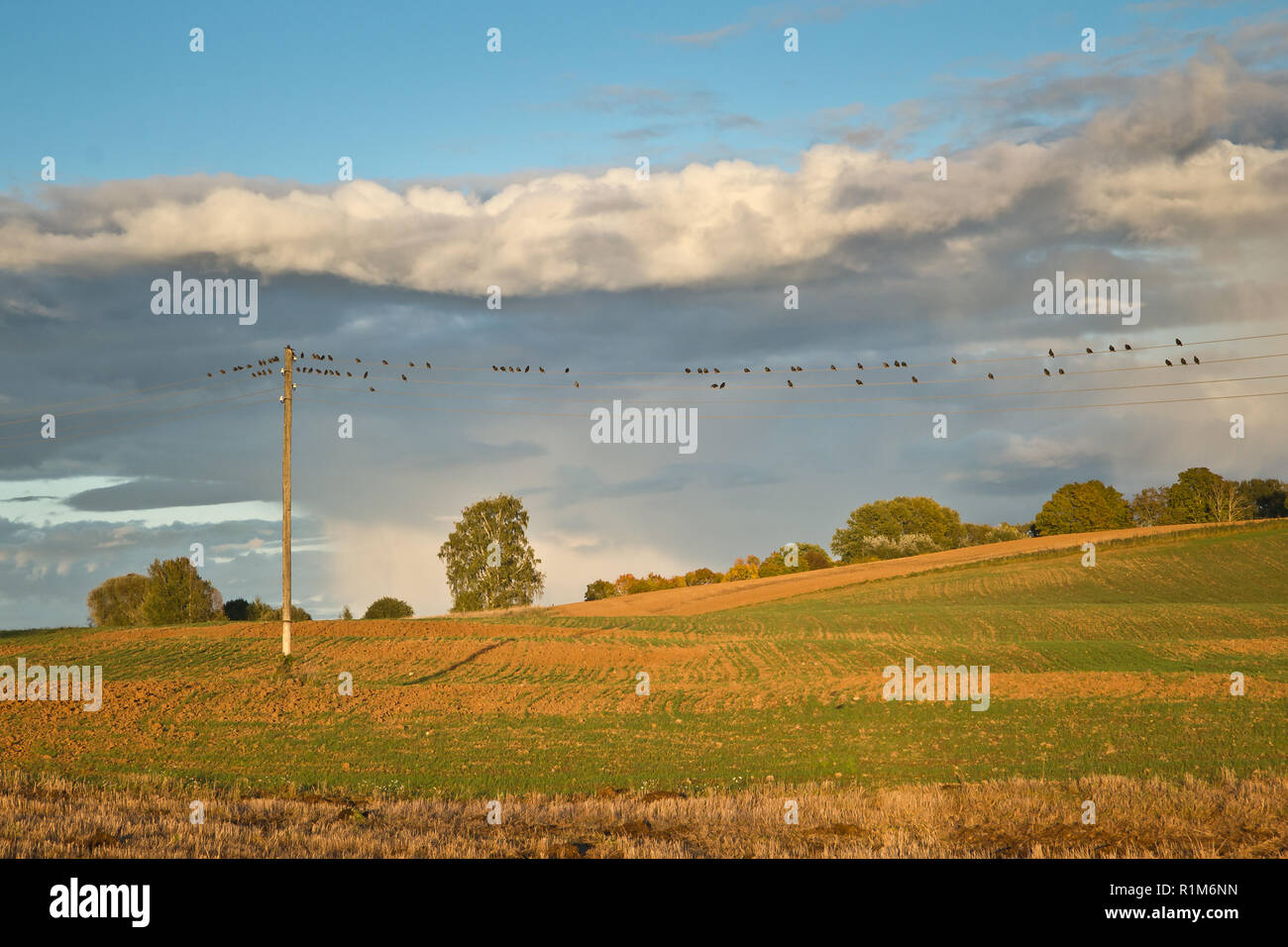 Latgale hi-res stock photography and images - Alamy