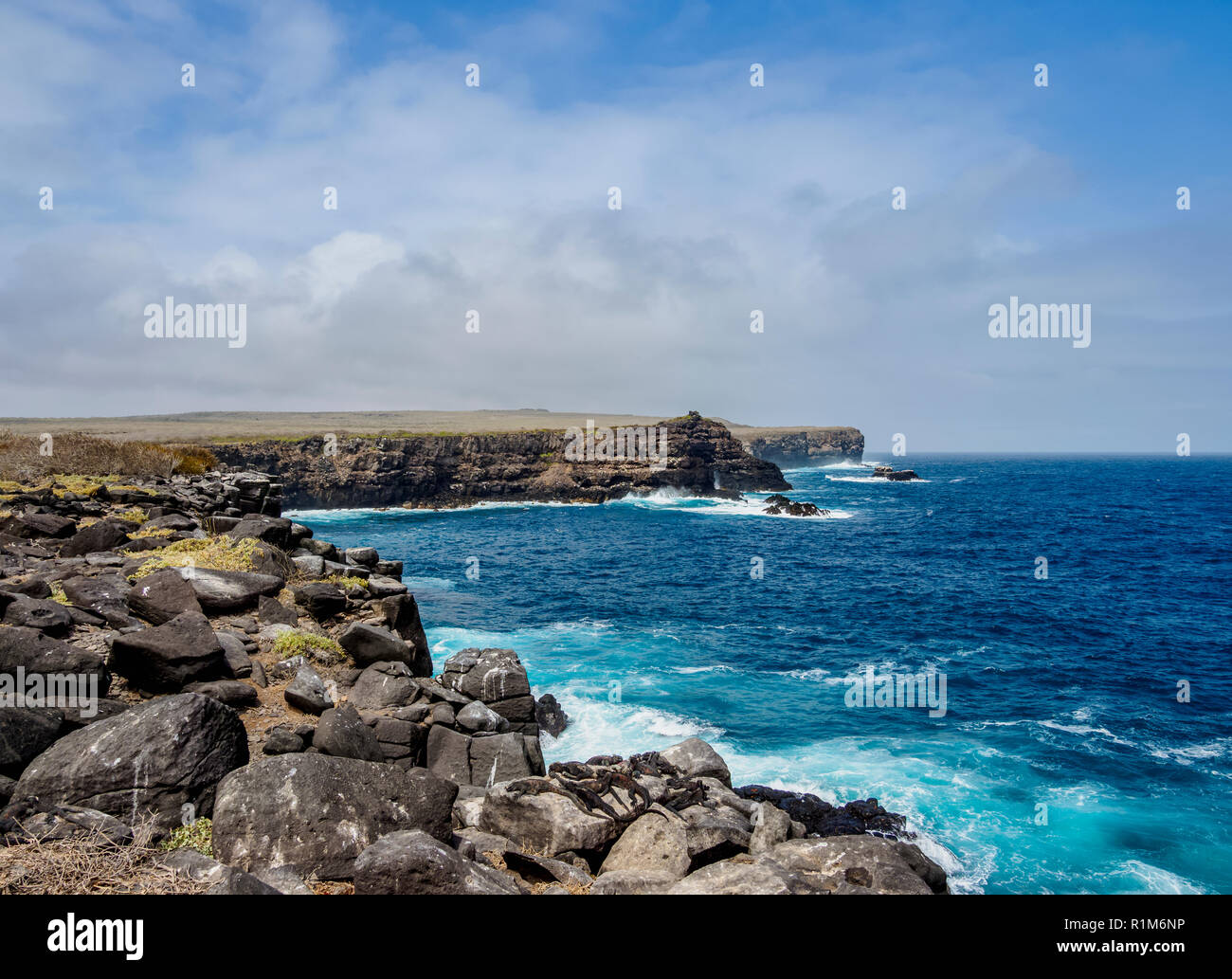Landscape of Punta Suarez, Espanola or Hood Island, Galapagos, Ecuador ...
