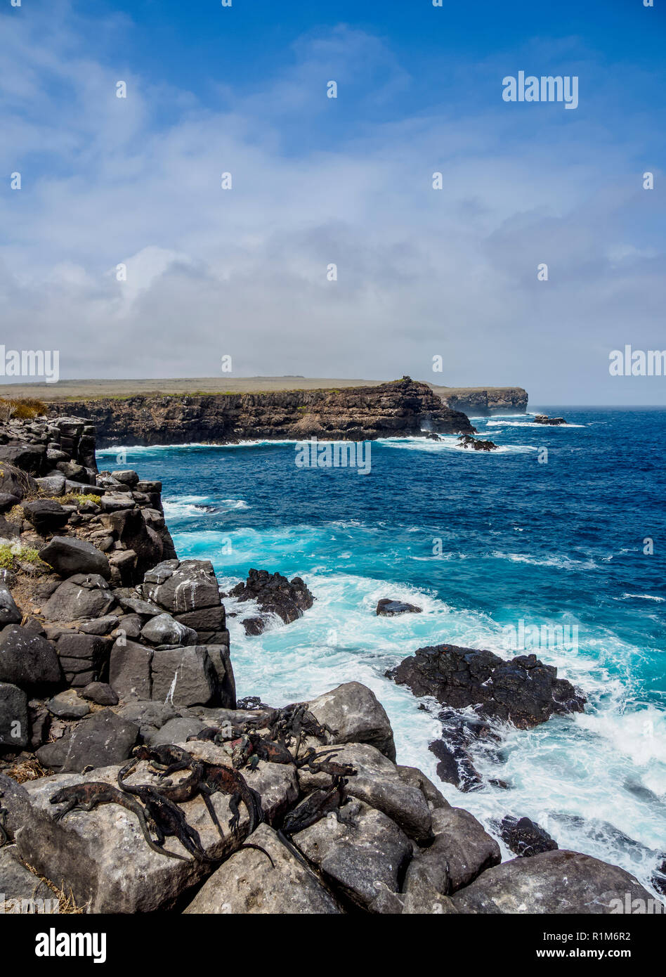 Landscape of Punta Suarez, Espanola or Hood Island, Galapagos, Ecuador ...