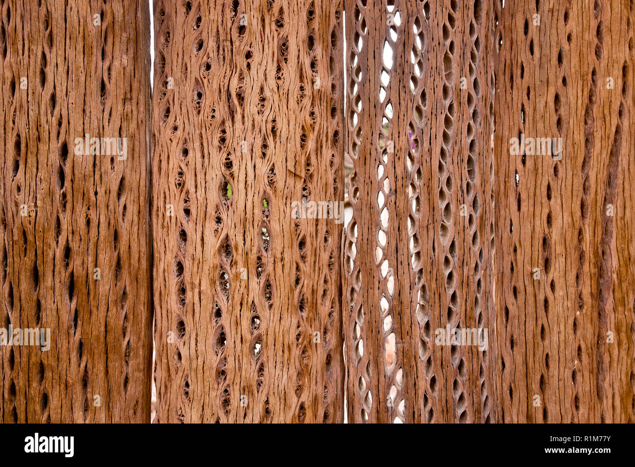 Natural dead cactus background Stock Photo - Alamy