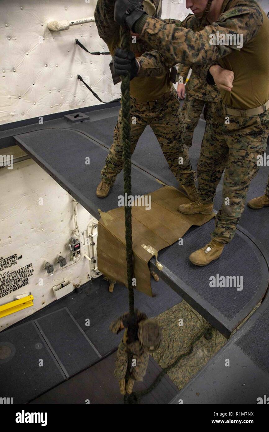 U s marines 1st battalion 2nd marine regiment division hi-res stock ...
