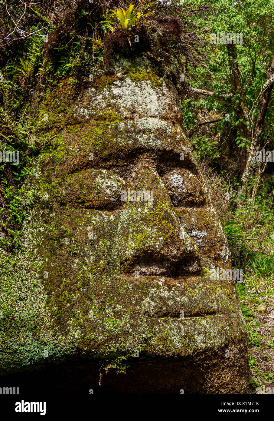 Face Sculpture in Tuff Rock, Asilo de la Paz, Highlands of Floreana or ...