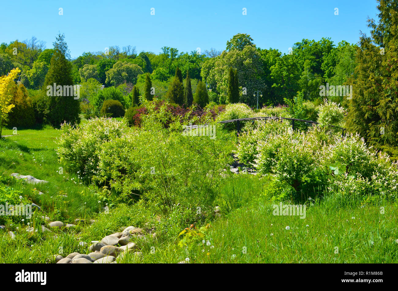 Spring Nature. Beautiful Landscape. Park with Green Grass and Trees ...