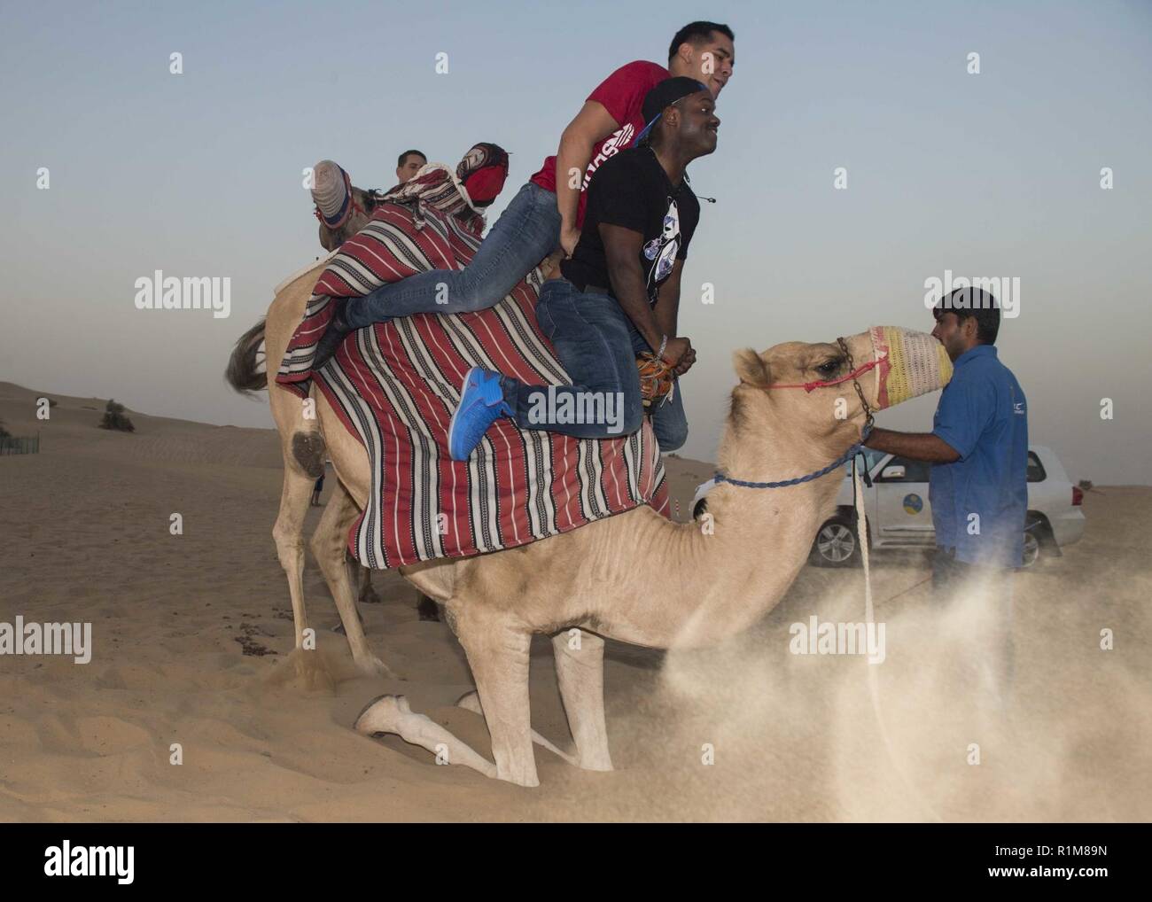 Camel corps america hi-res stock photography and images - Alamy