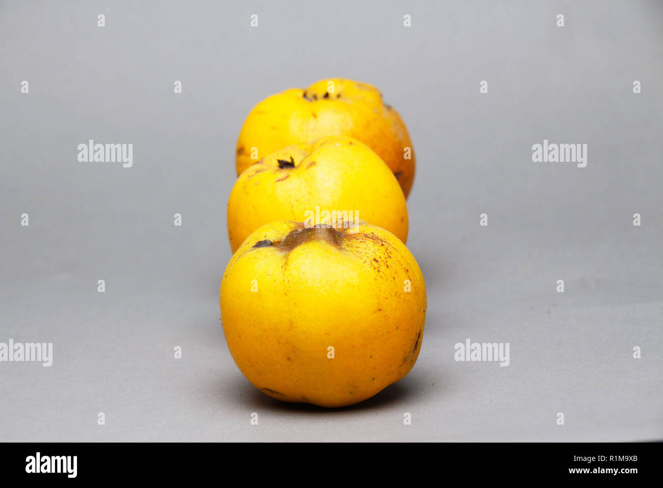 three ripe Quince fruit Stock Photo - Alamy