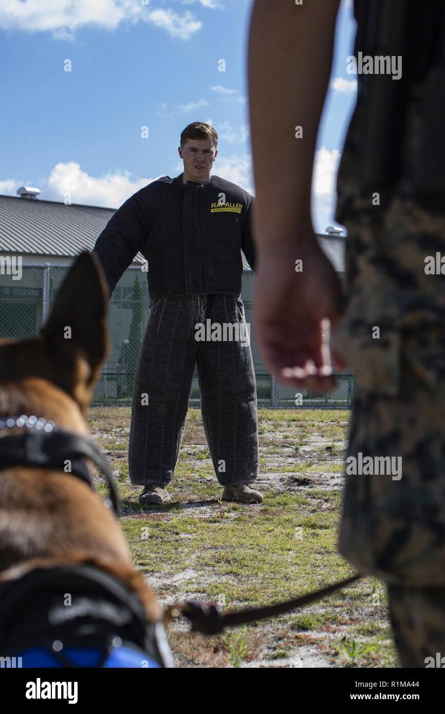 Dog handler police vehicles hi-res stock photography and images - Alamy