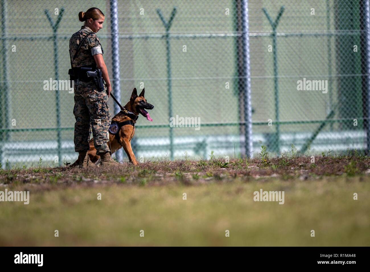 U.S. Marine Corps Lance Cpl. Angela Cardone, a military working dog ...