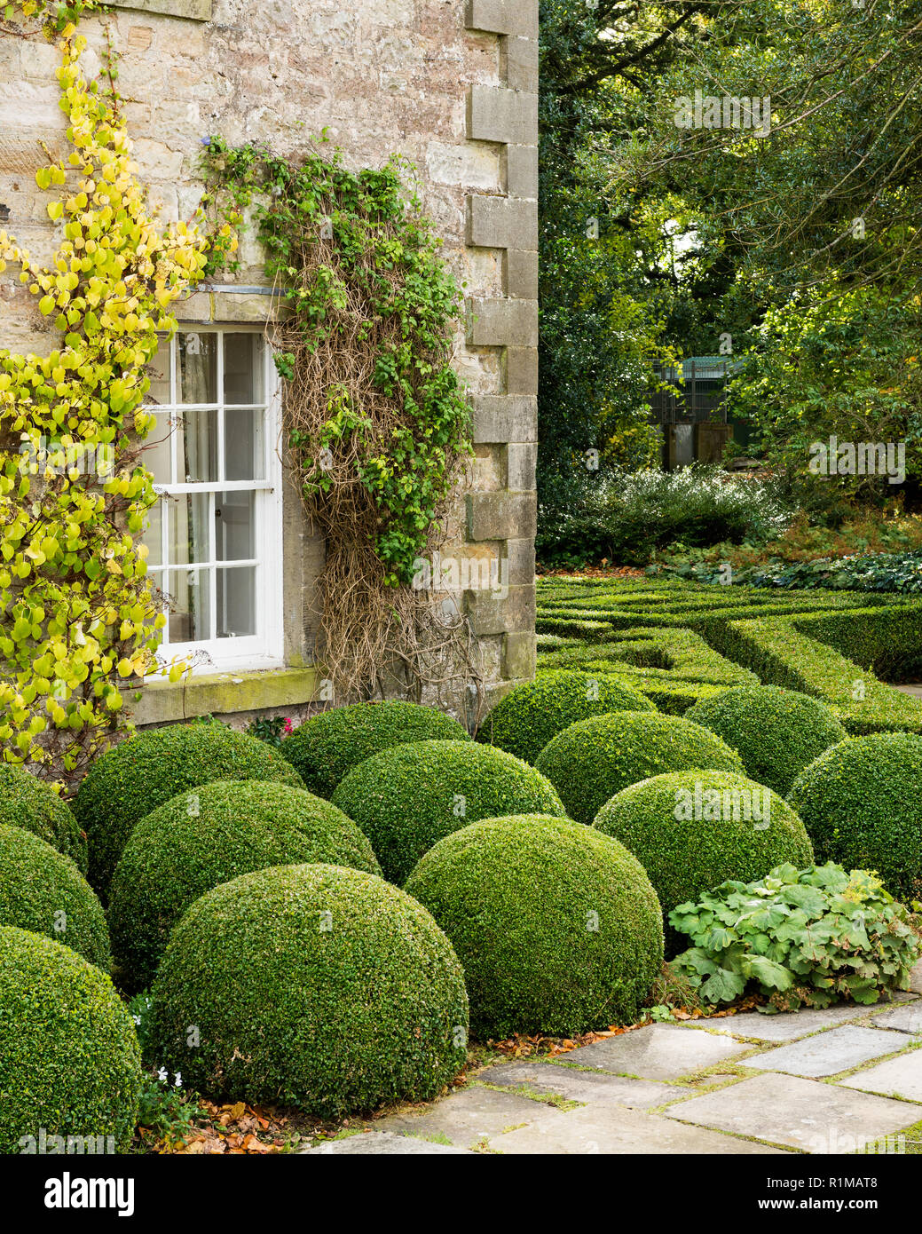 Victorian box tree hi-res stock photography and images - Alamy