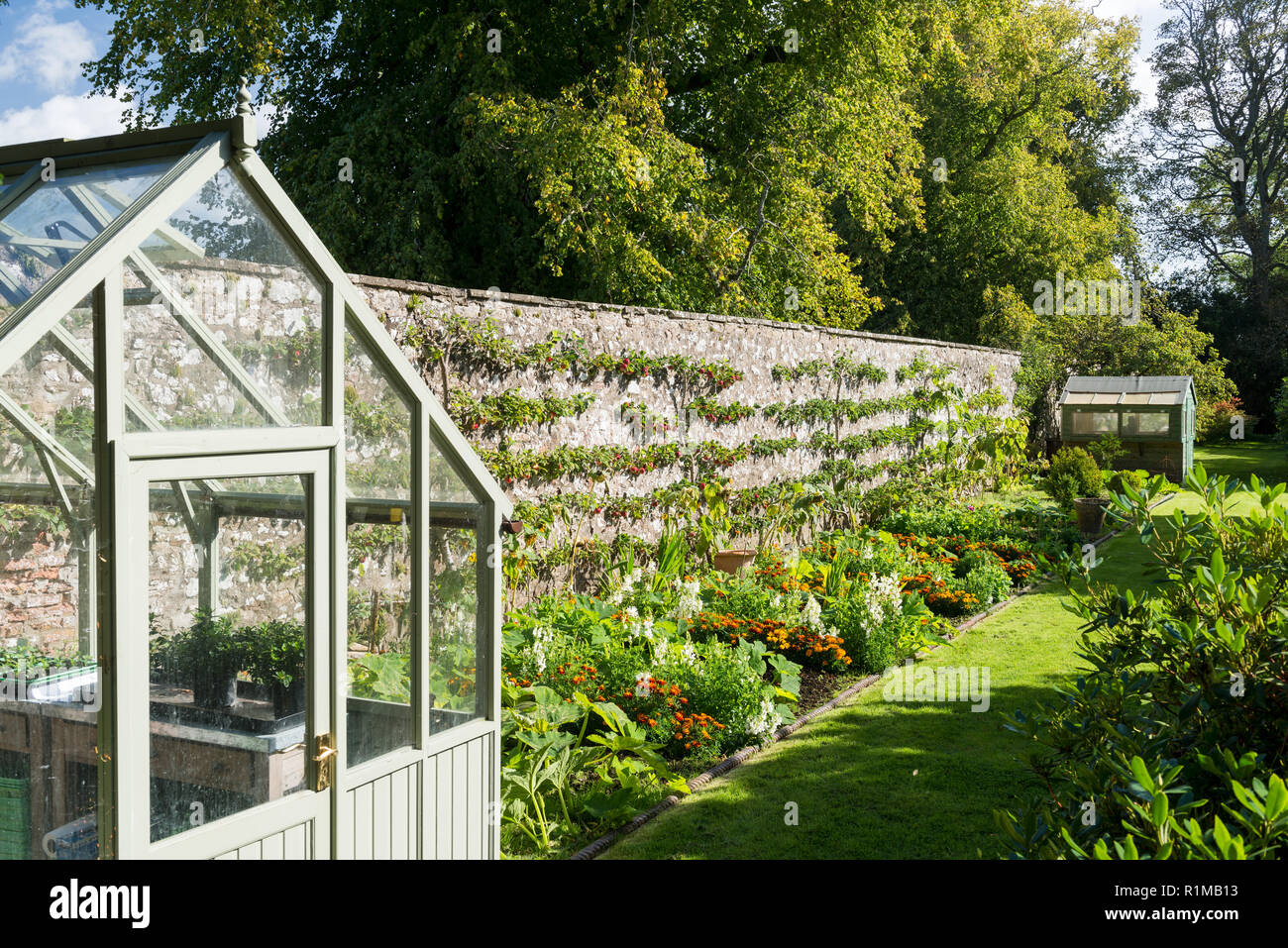 Interior old greenhouse organic hi-res stock photography and images - Alamy