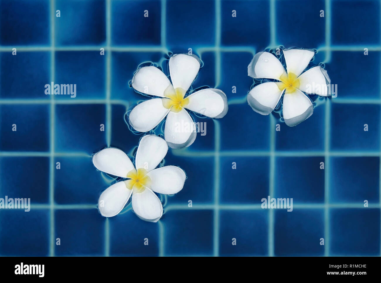 Pool three hi-res stock photography and images - Alamy