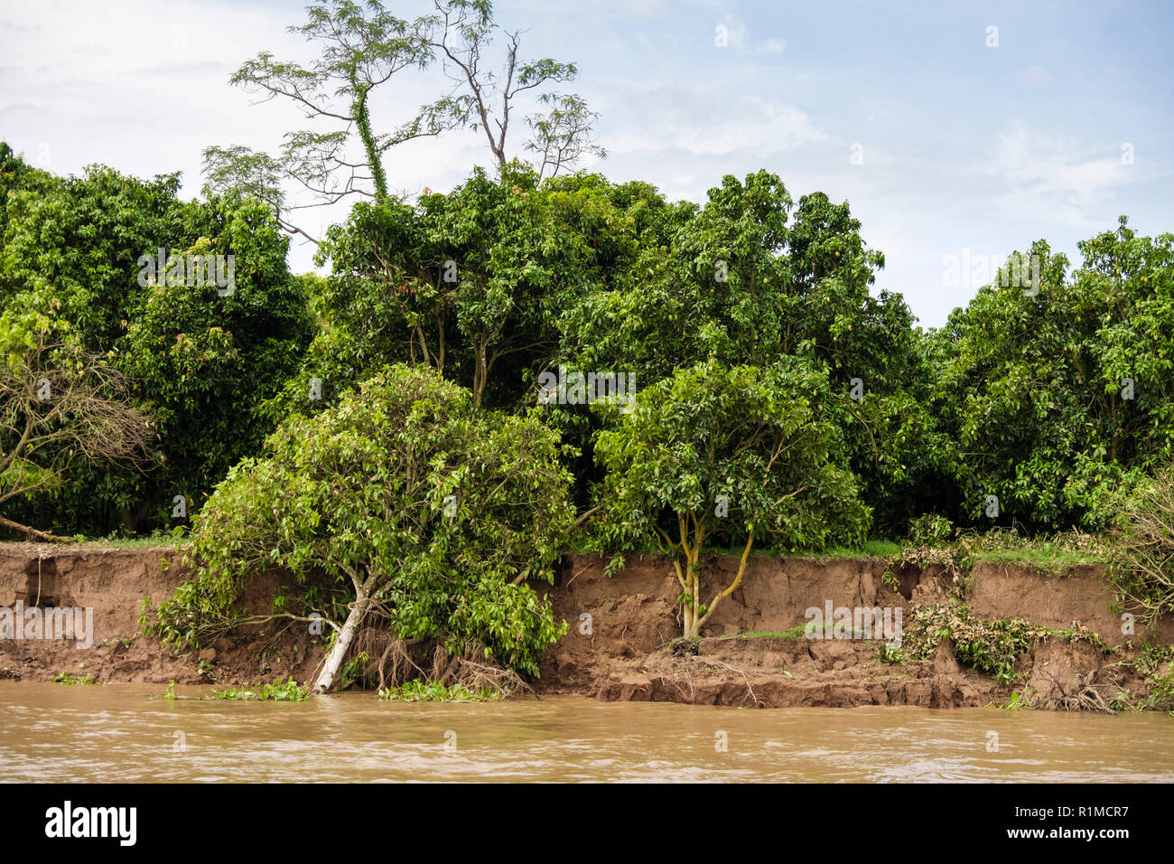 River Bank Erosion Stock Photos & River Bank Erosion Stock Images - Alamy
