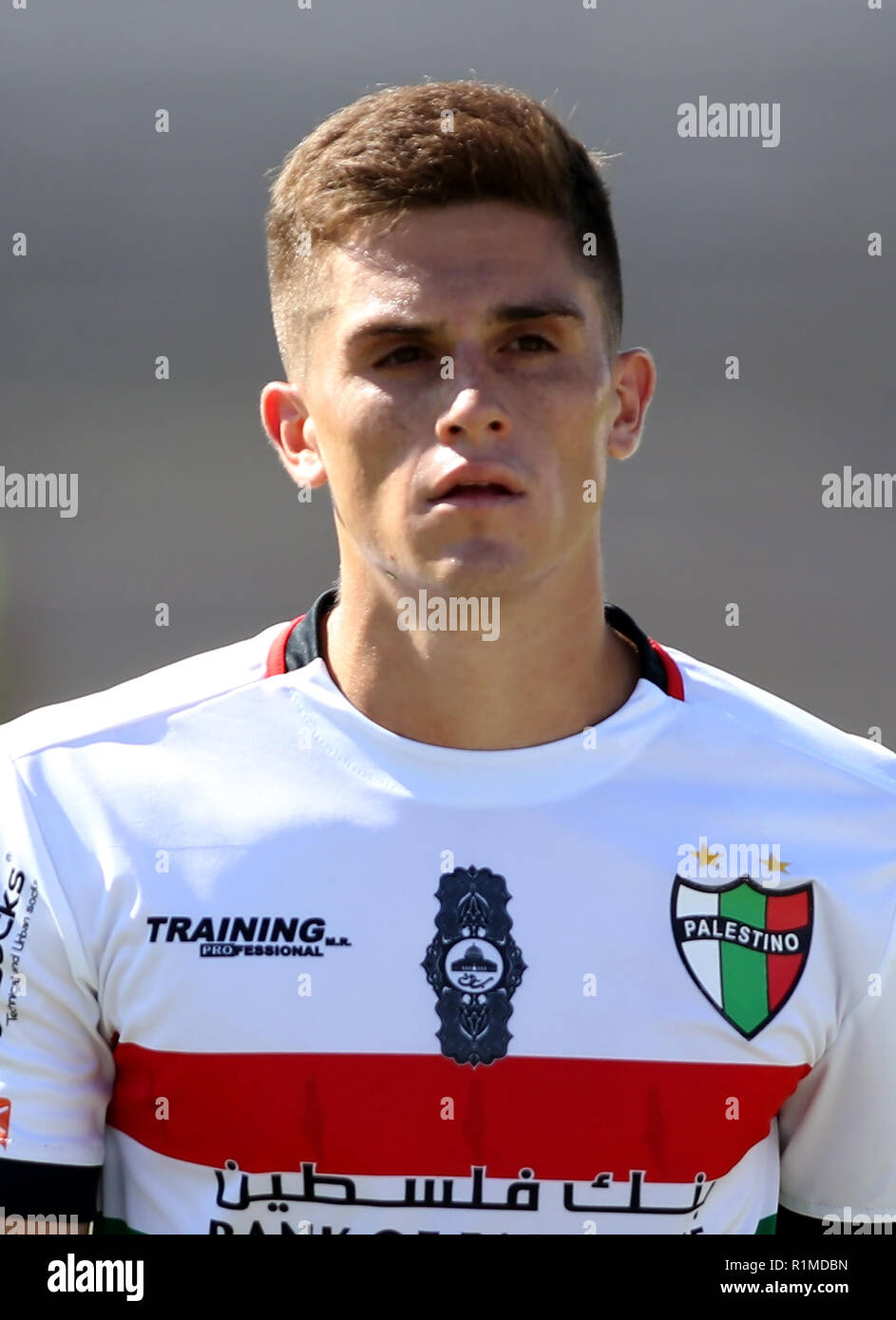 Chile League - Scotiabank 1 Division 2018 / ( C.D. Palestino ...