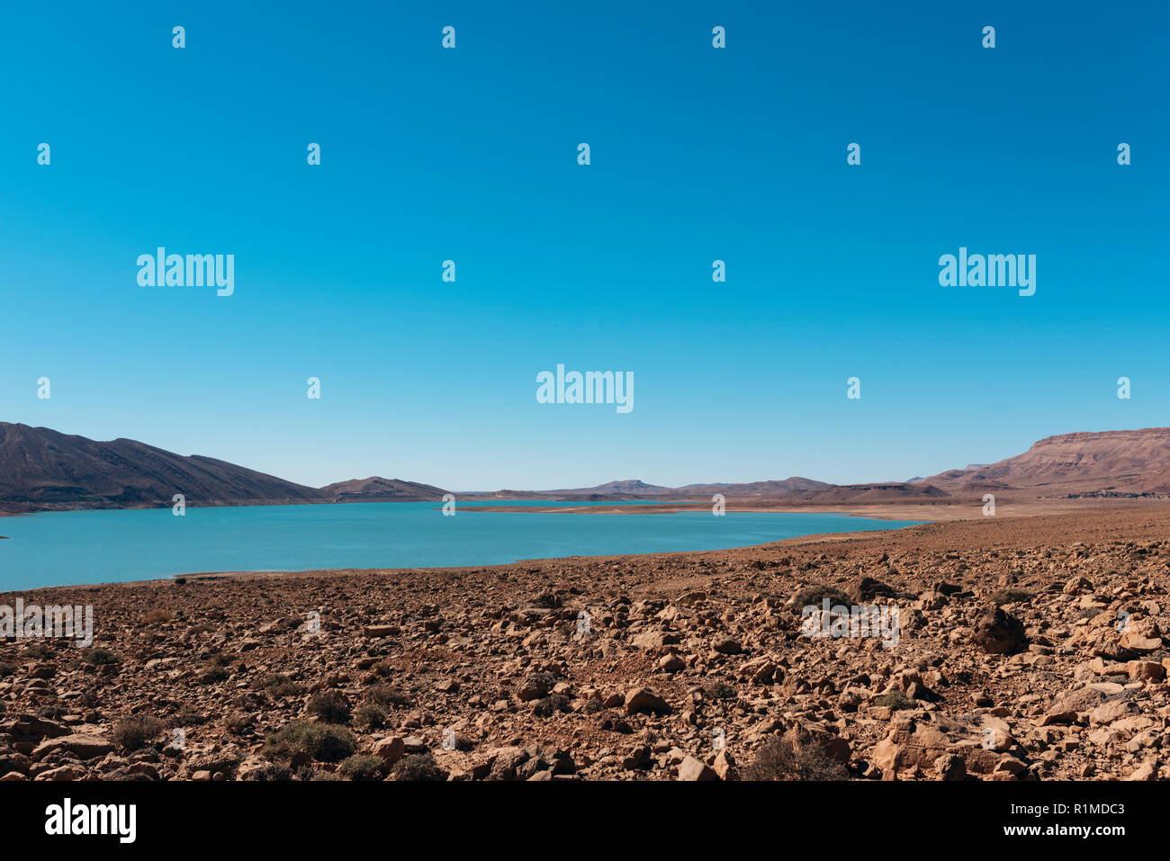 Palmen oase hi-res stock photography and images - Alamy