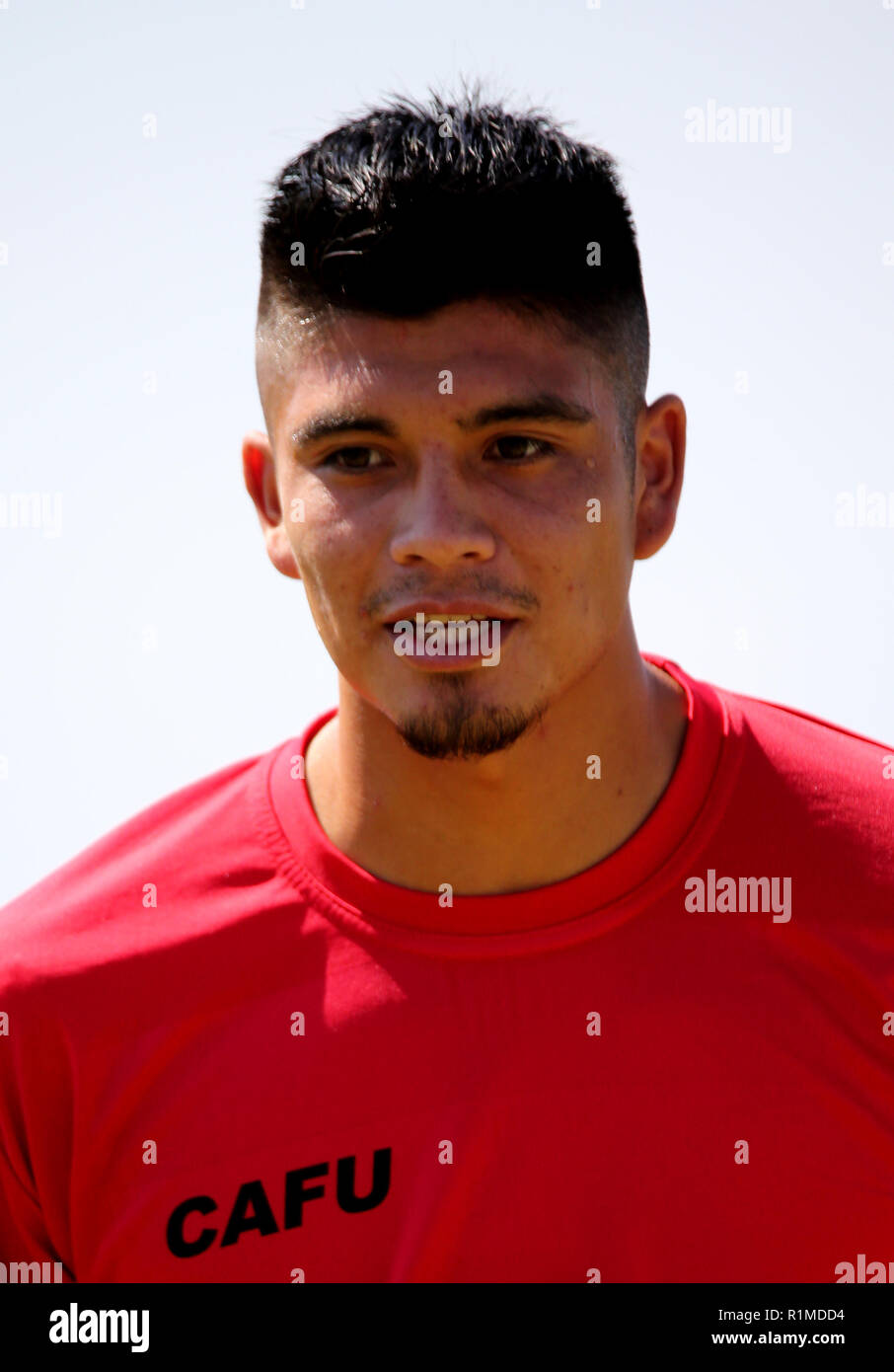 Hardy cavero hi-res stock photography and images - Alamy