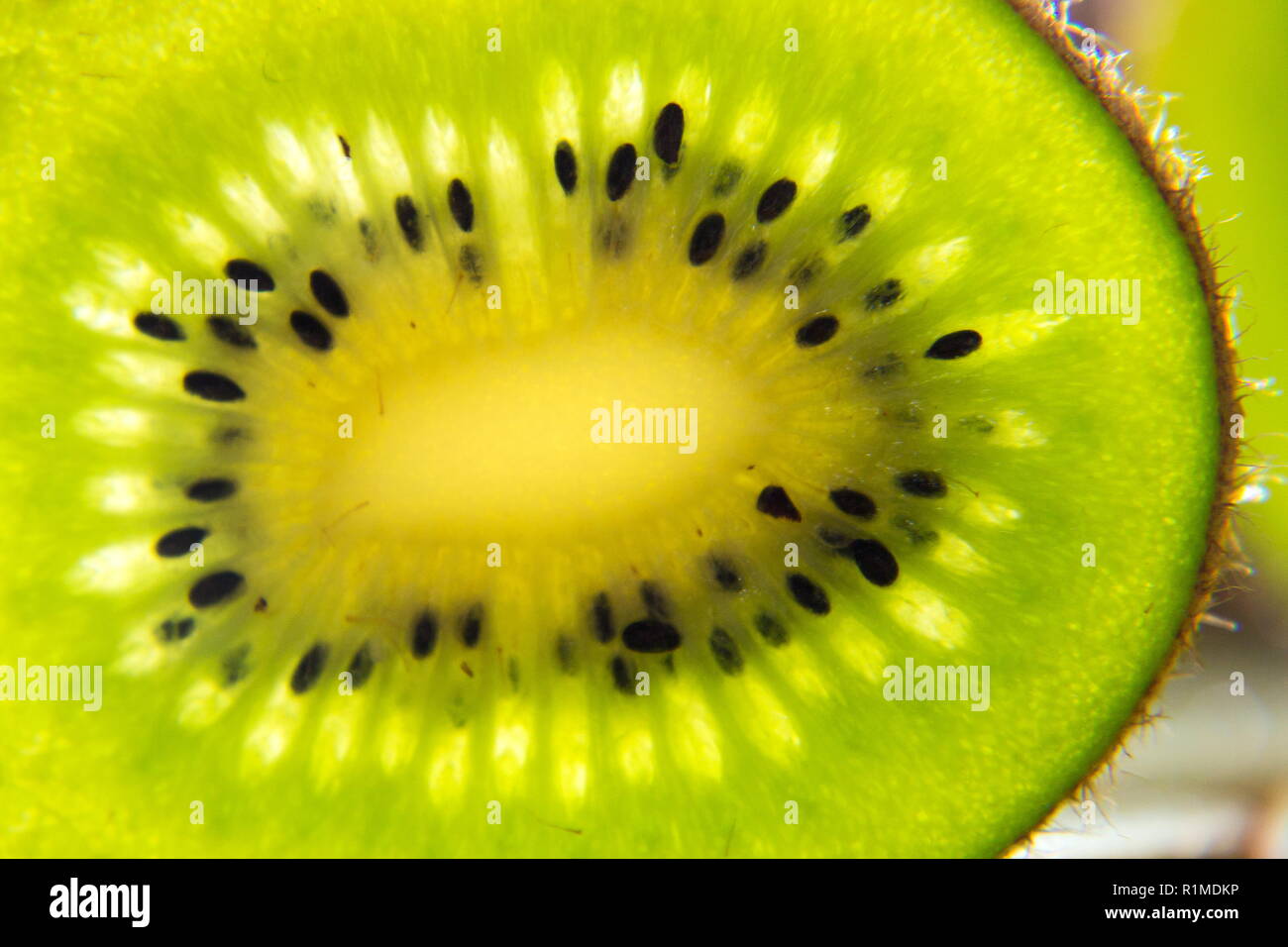 Green fresh kiwi fruit sliced piece stands backlit, healthy diet, new ...