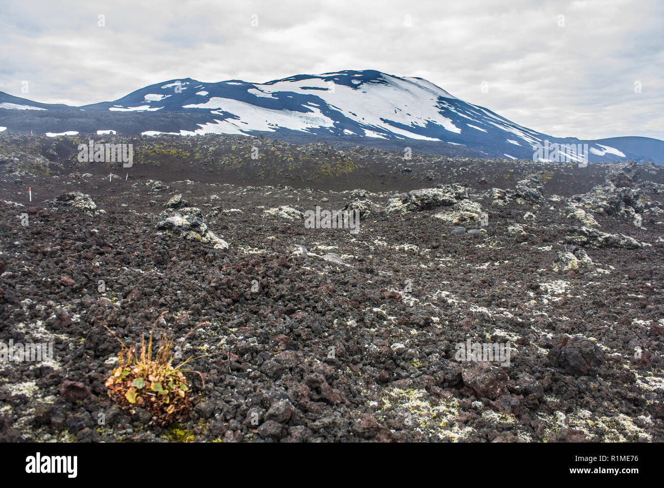 View up the active Hekla Volcano in Iceland Stock Photo - Alamy