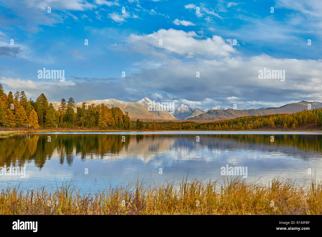 Trees and altai mountain lakes hi-res stock photography and images - Alamy