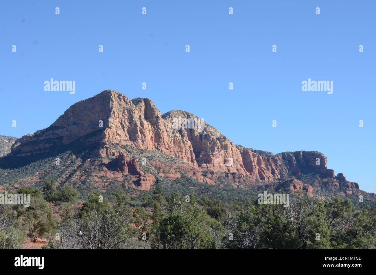 Scenes outdoors from a hike with mesas and foliage visible in Sedona ...
