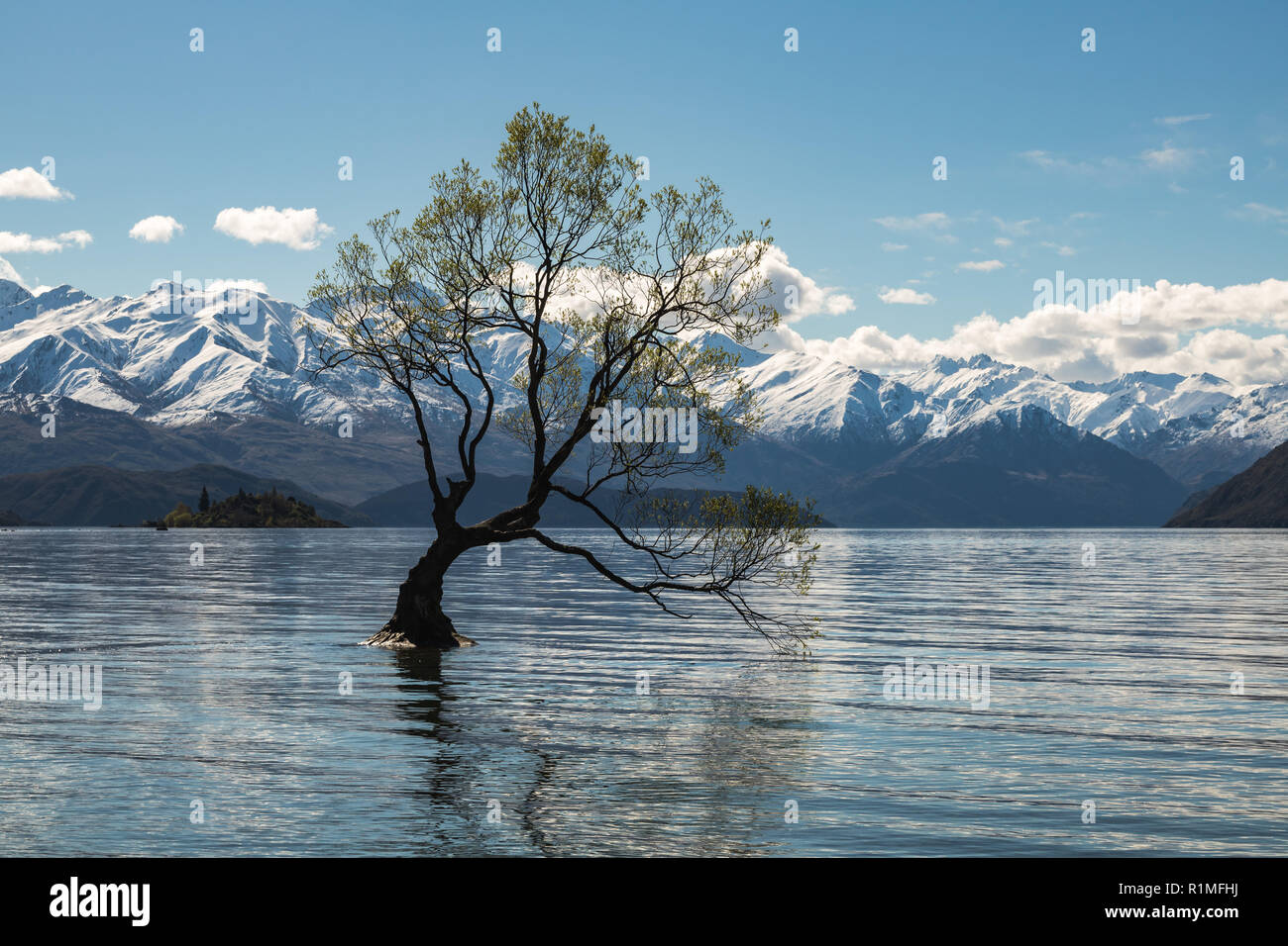 Lone tree of wanaka hi-res stock photography and images - Alamy