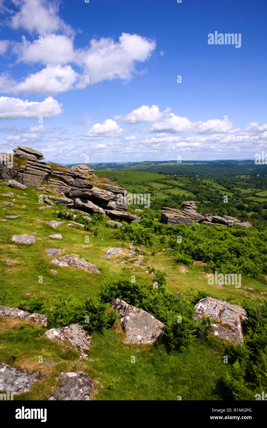 Rock on hound tor dartmoor hi-res stock photography and images - Alamy