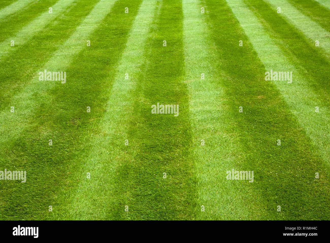Lawn stripes mower hi-res stock photography and images - Alamy
