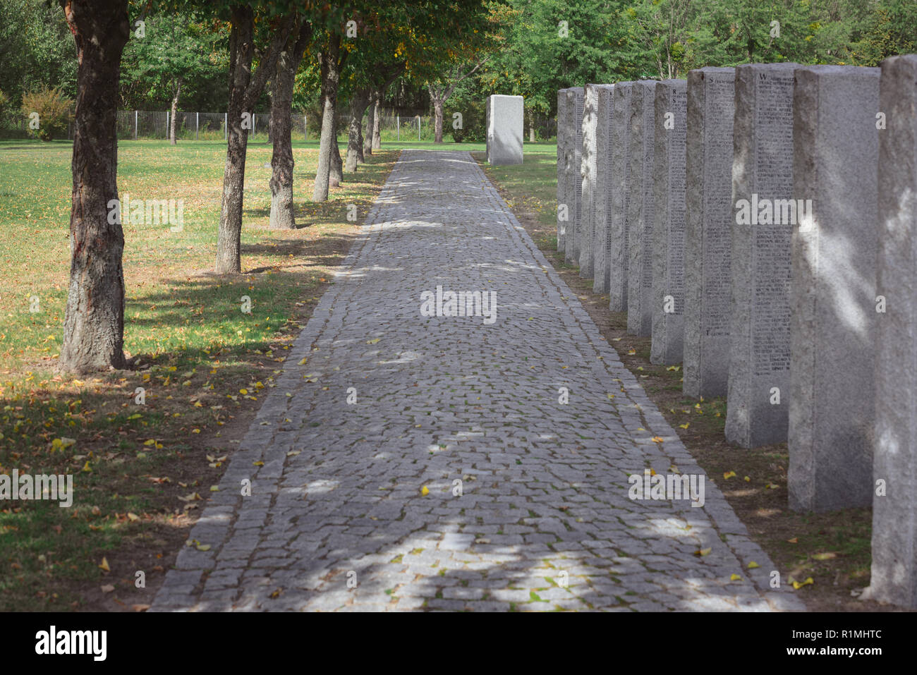 path from paving stone and memorial headstones placed in row at ...
