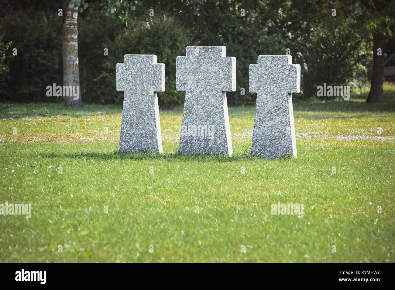 memorial stone crosses placed in row on grass at graveyard Stock Photo ...