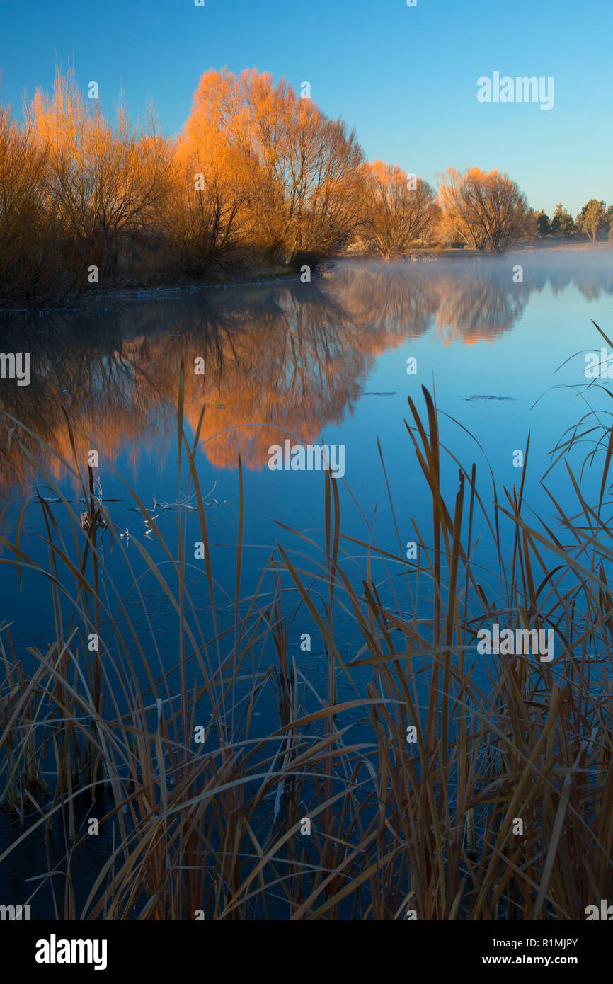 Reynolds Pond, Prineville District Bureau of Land Management, Oregon ...