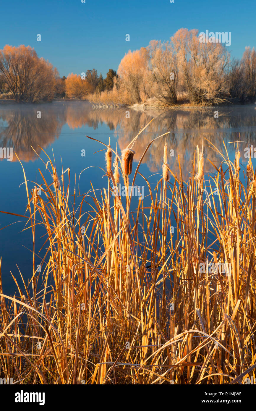 Reynolds pond hi-res stock photography and images - Alamy
