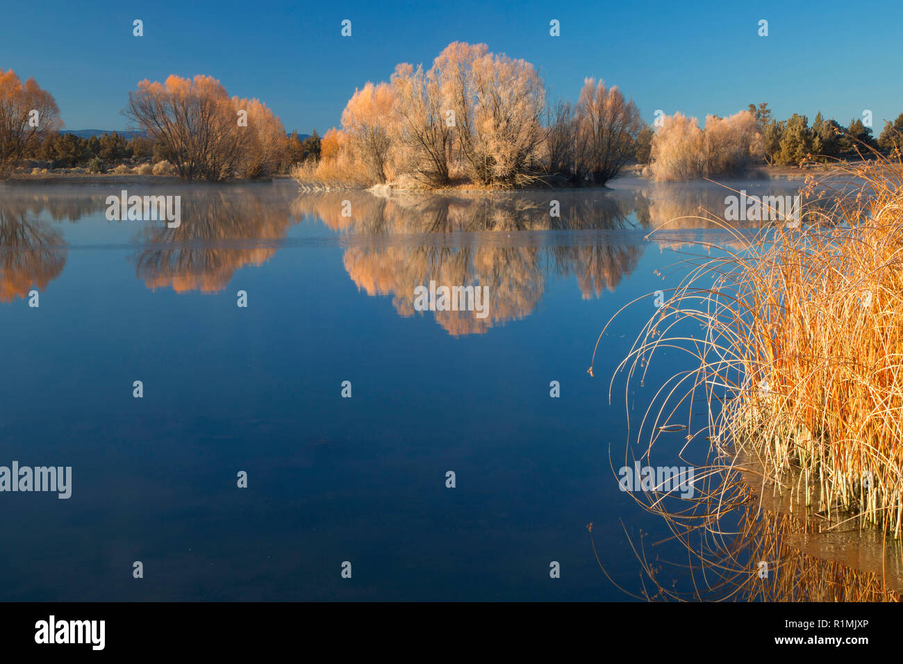 Reynolds pond hi-res stock photography and images - Alamy