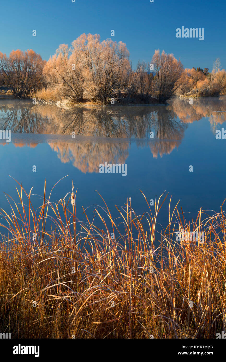 Reynolds pond hi-res stock photography and images - Alamy